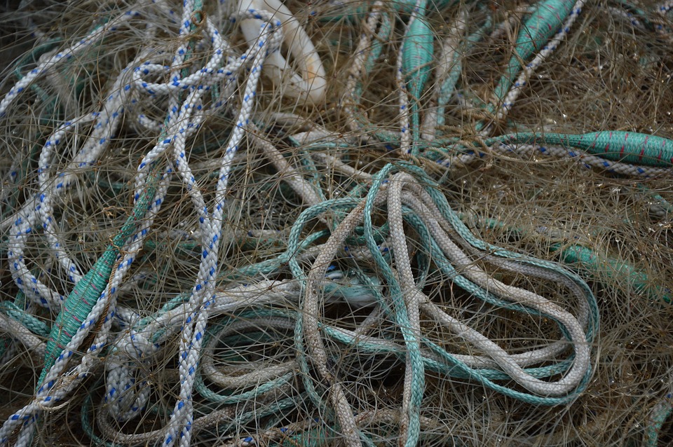 Fishing Networks Catching - Free photo on Pixabay - Pixabay