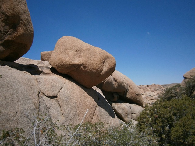 Joshua Tree Rocha - Foto gratuita no Pixabay - Pixabay