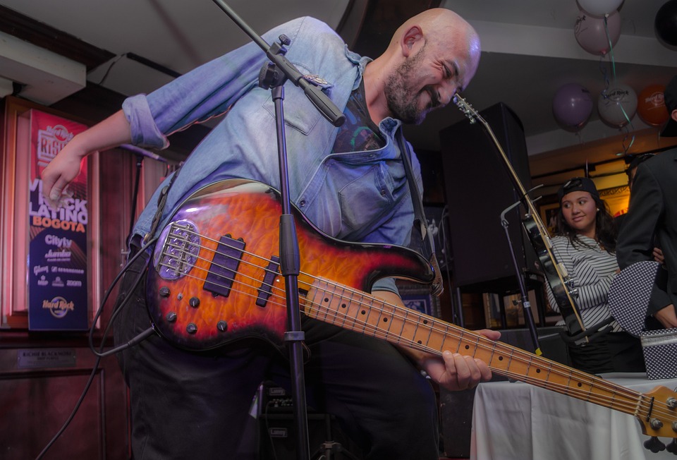 Bass Performance Rock - Free photo on Pixabay - Pixabay
