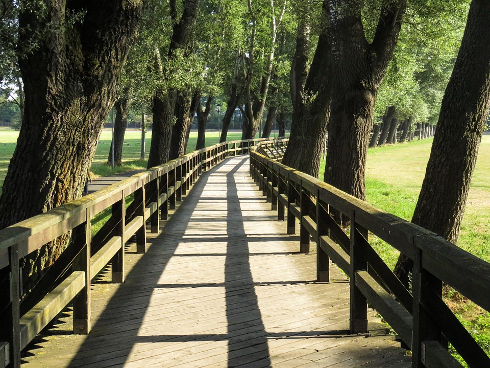 Bridge Web Wood - Free photo on Pixabay - Pixabay