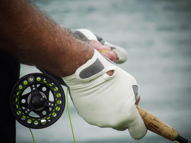 Fly-Fishing Fun Relax - Free photo on Pixabay - Pixabay