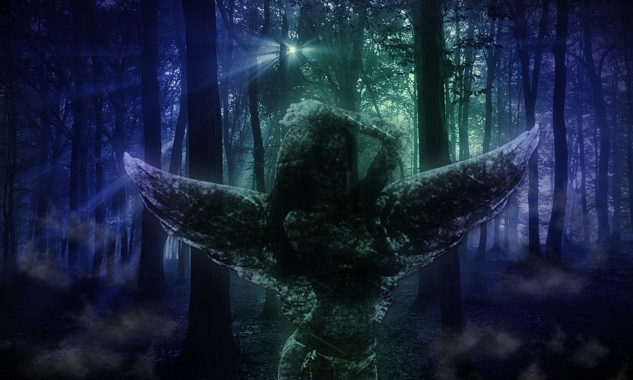 50,000+ Free Angel Wings & Angel Images - Pixabay