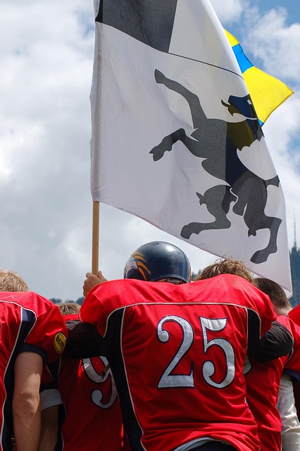 Football Américain Calanda Broncos - Photo gratuite sur Pixabay - Pixabay