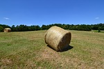 4 Hayfever Synonyms. Similar words for Hayfever.