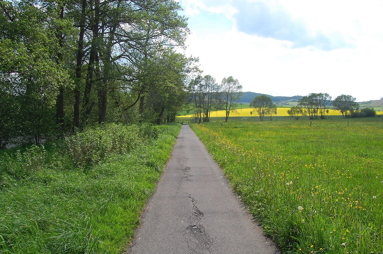 Path Nature Meadow - Free photo on Pixabay - Pixabay