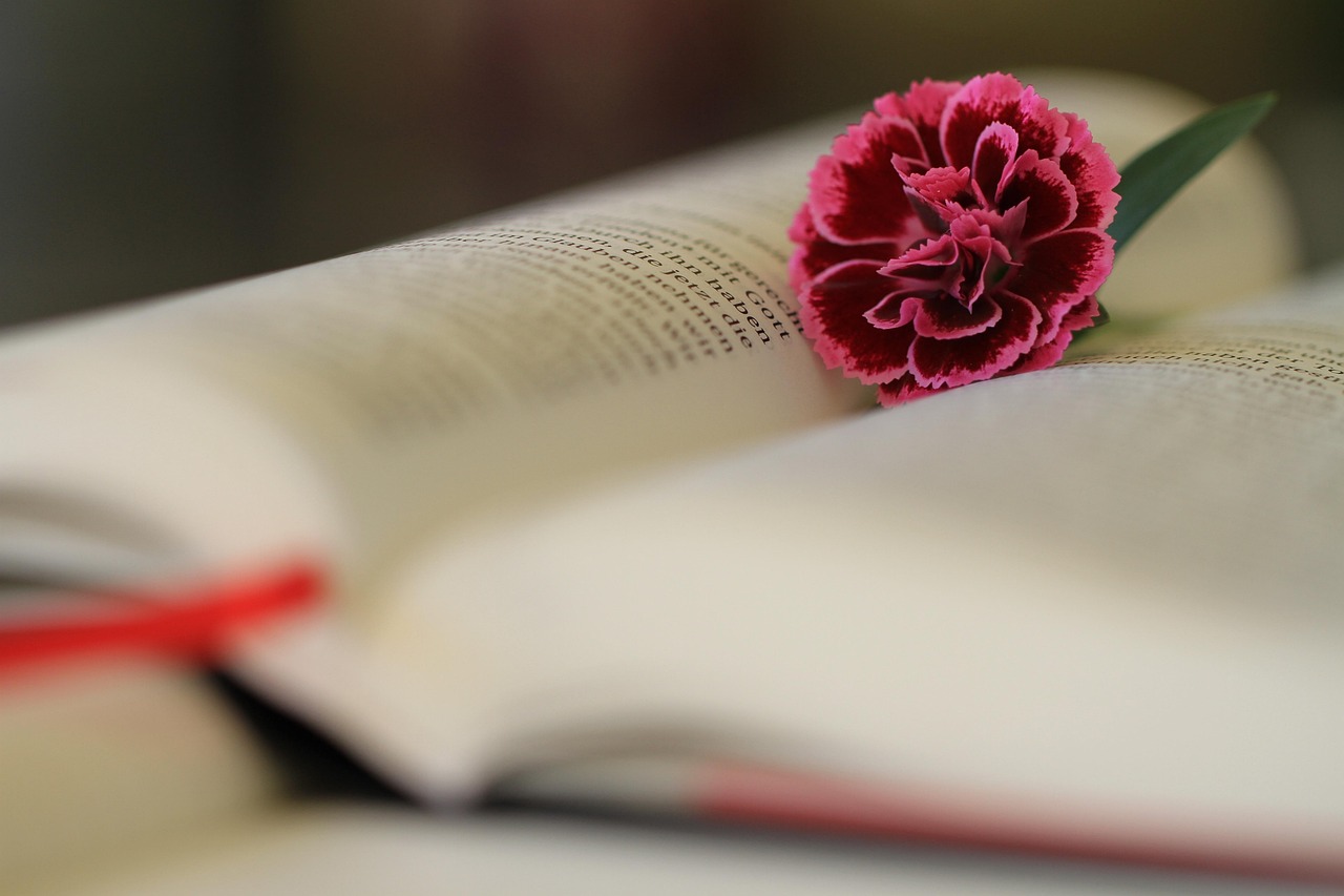 50,000+ Free Beautiful Bible & Bible Images - Pixabay