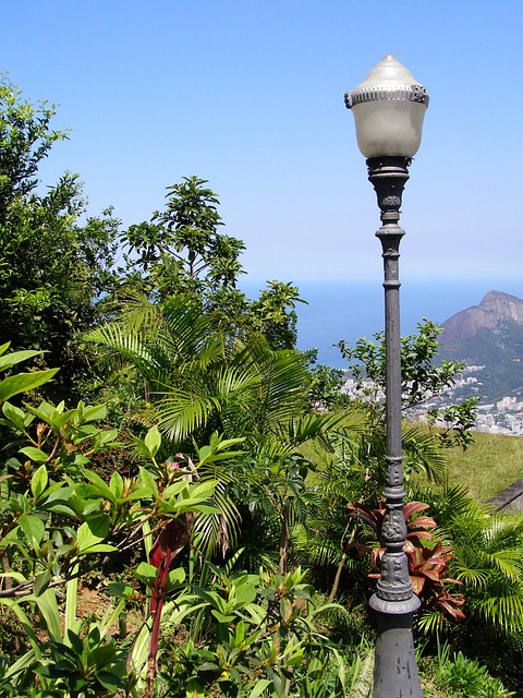 Rio De Janeiro Lighting Landscape - Free photo on Pixabay