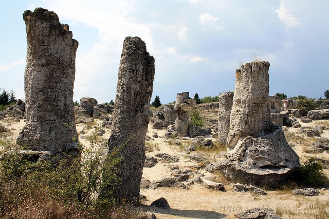 Pobitite Kamuni Forest - Free photo on Pixabay