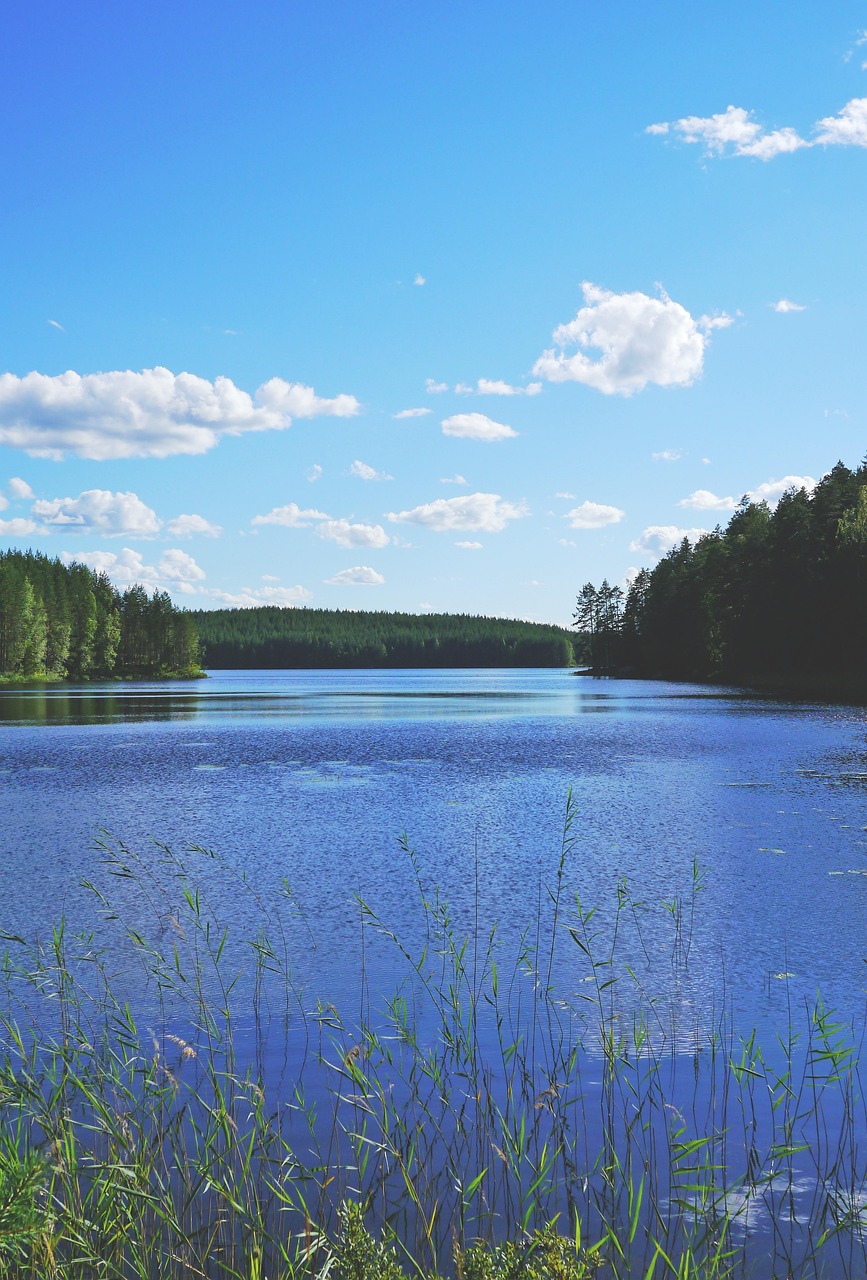 Lake Landscape Nature - Free photo on Pixabay - Pixabay