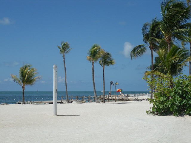 Key West Playa Arena - Foto gratis en Pixabay - Pixabay