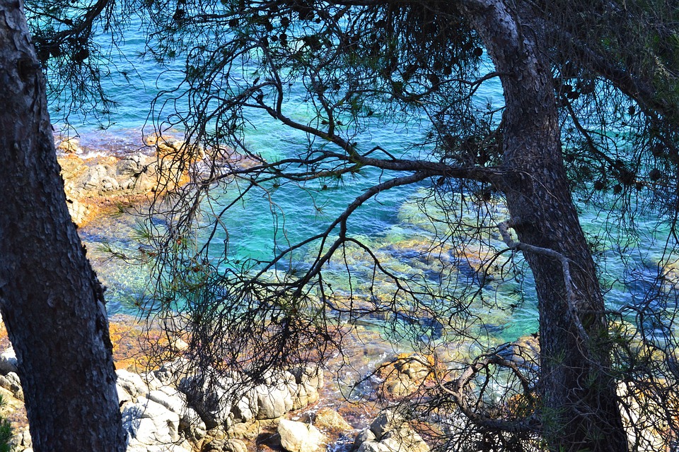 Mer Turquoise Pin - Photo gratuite sur Pixabay - Pixabay