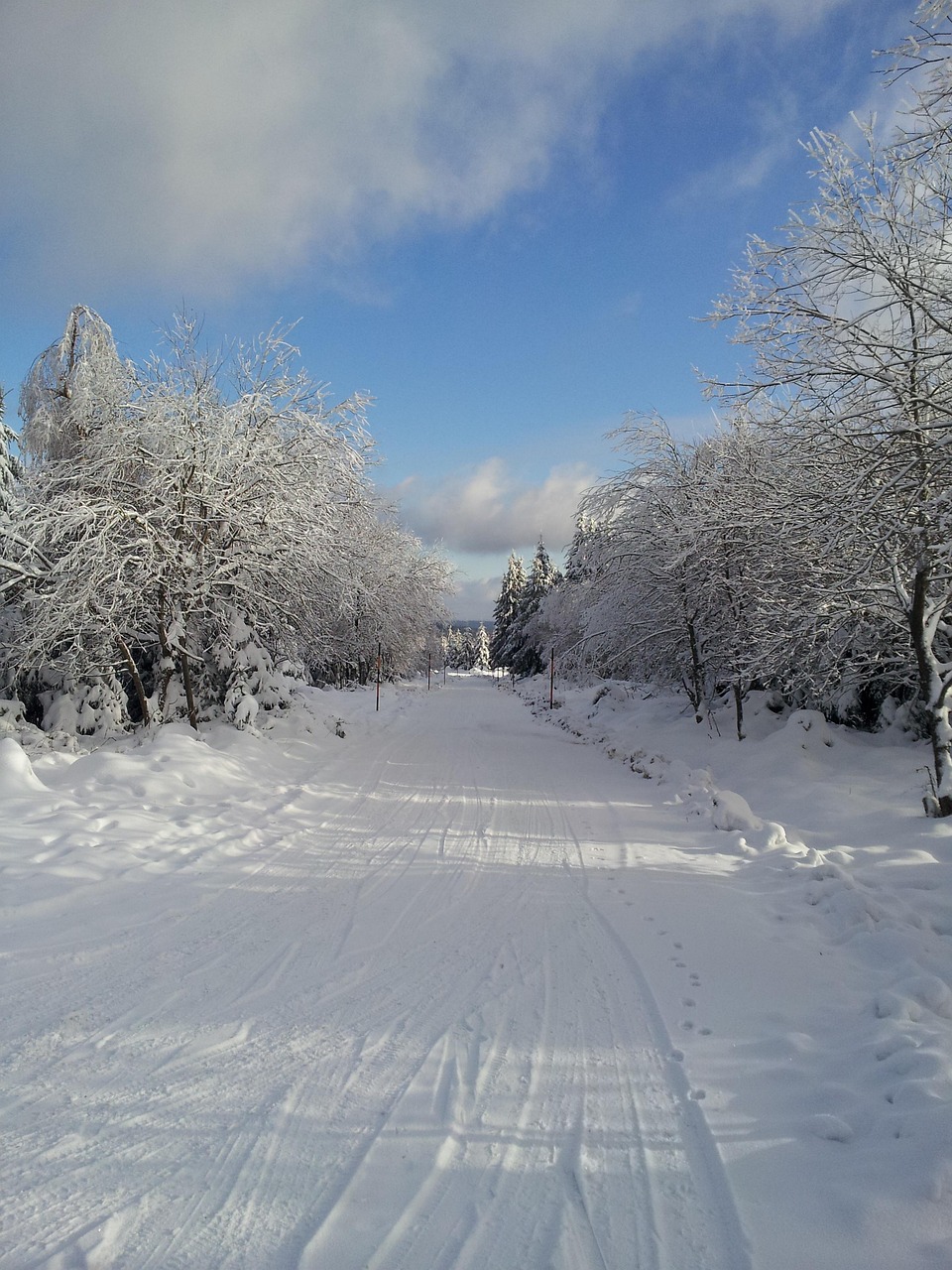 Blue Sky Snow Trail Sunny Winter - Free photo on Pixabay - Pixabay