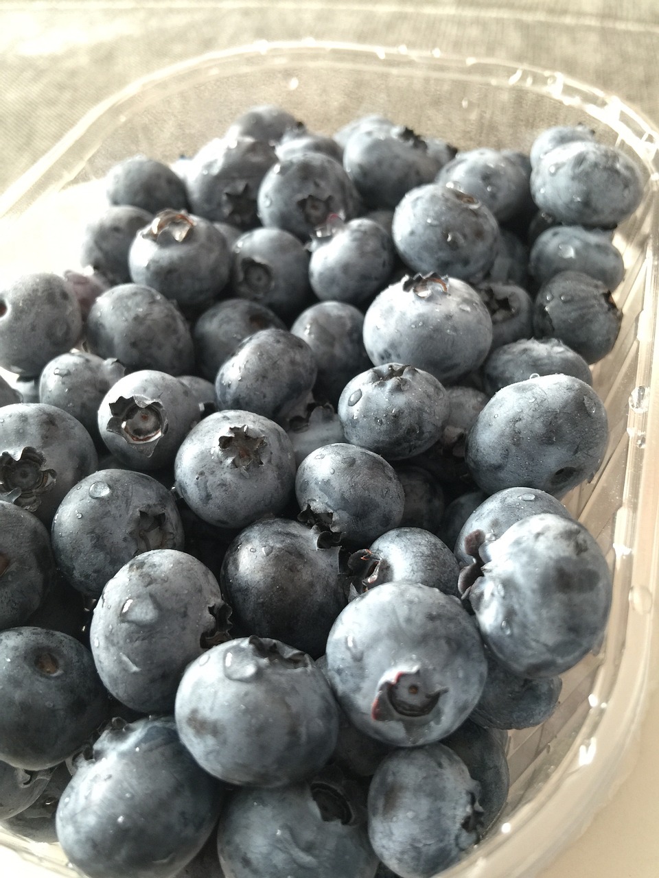 Bilberry Berries Fruit - Free photo on Pixabay