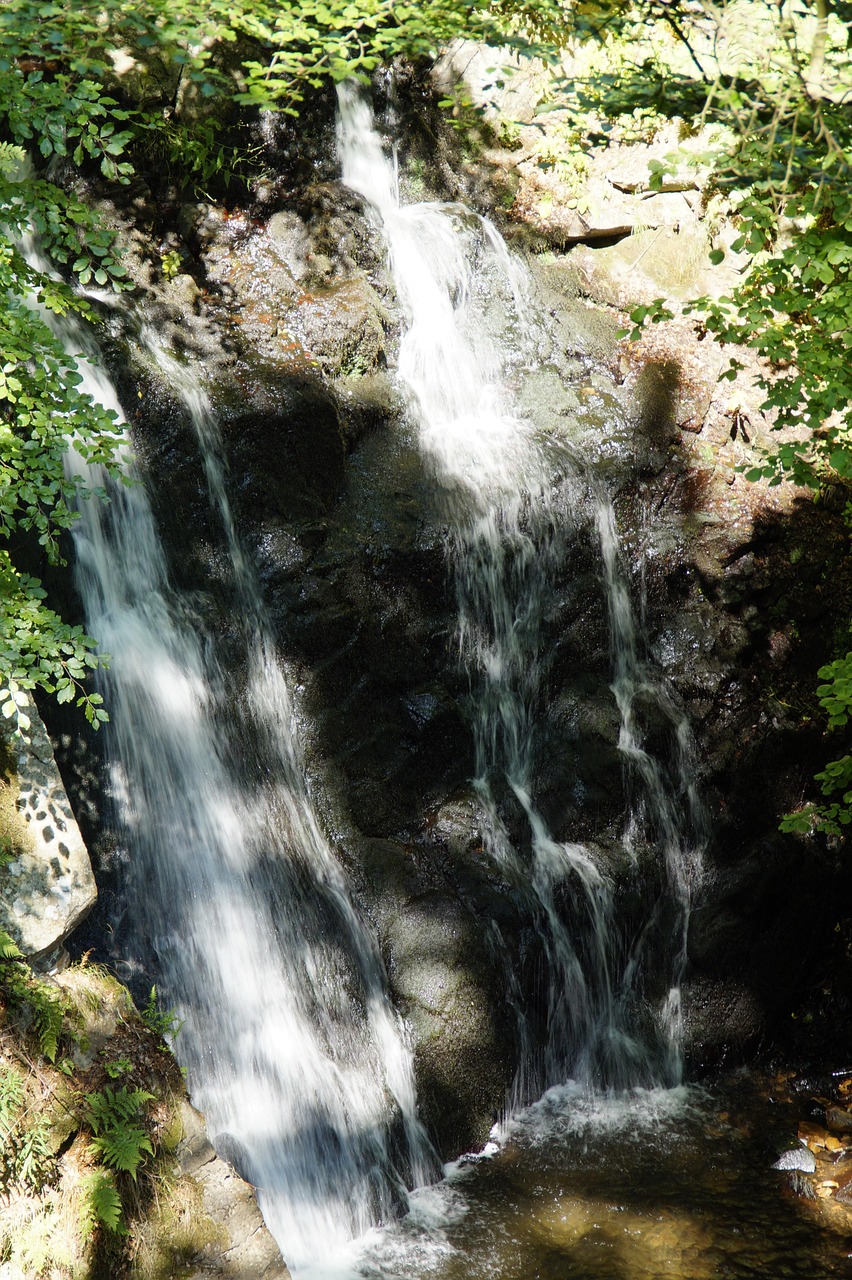 Cascada Bosque Suecia - Foto gratis en Pixabay - Pixabay