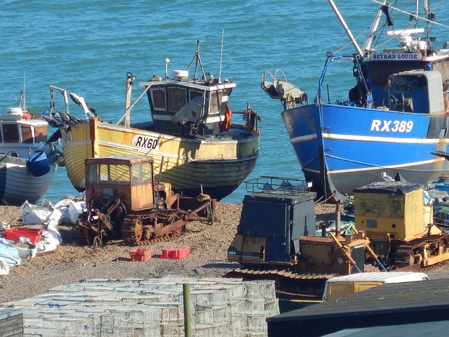 Fishing Boats In Hastings Uk Fish - Free photo on Pixabay