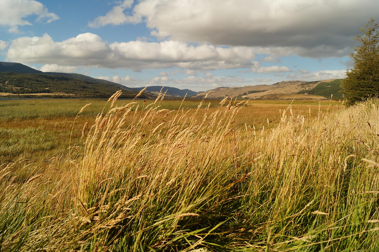 Landscape Patagonia Chilean - Free photo on Pixabay - Pixabay