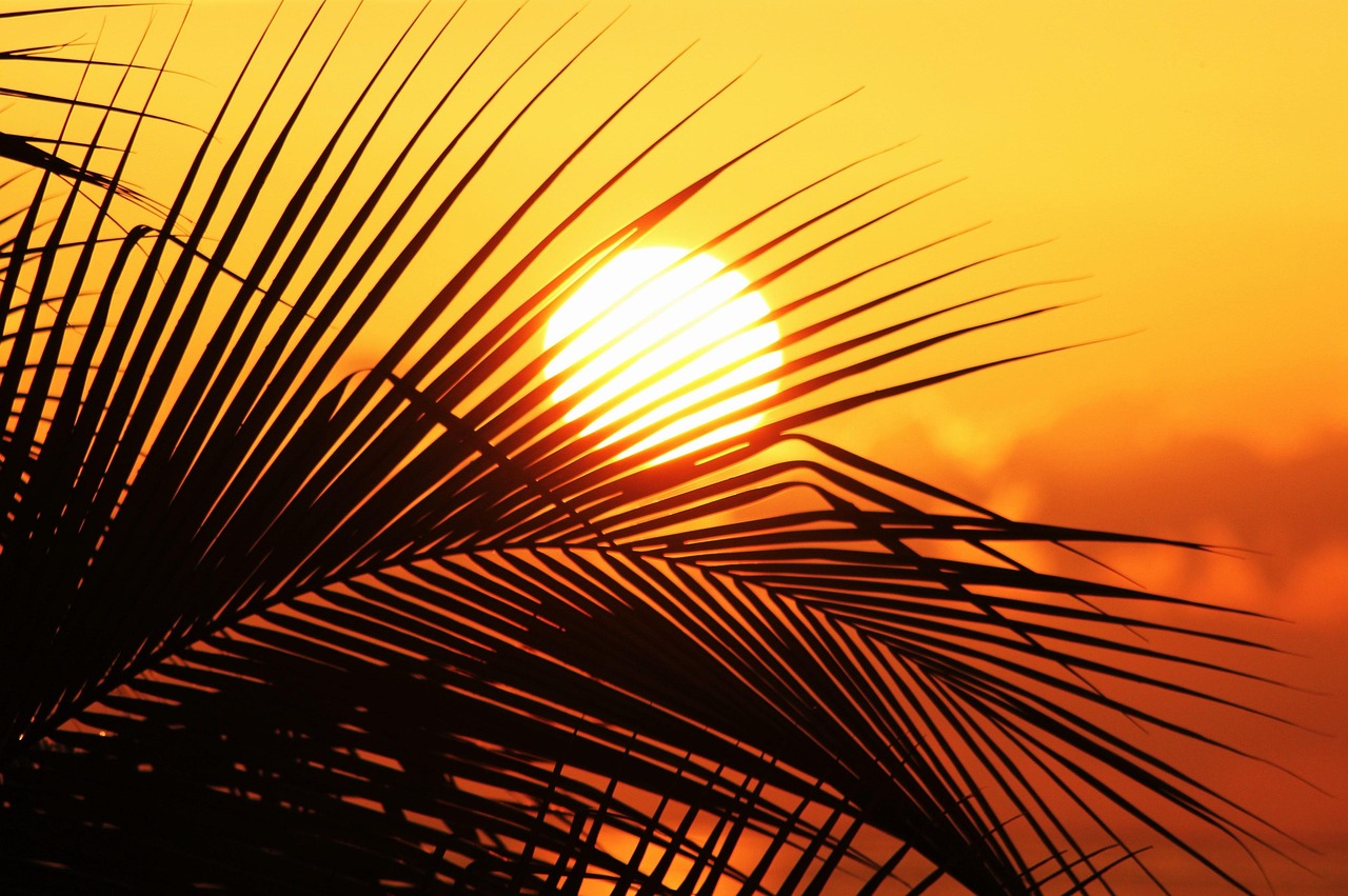 300000+ gratis bilder av Sommer Og Sol og Natur - Pixabay