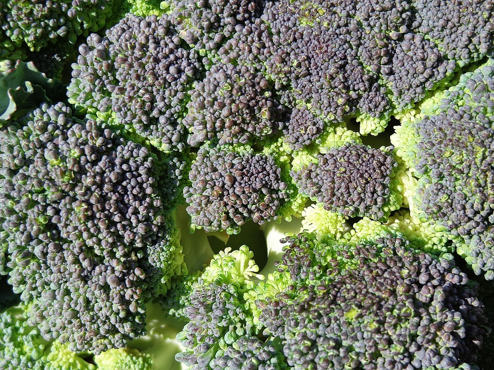 Broccoli Vegetables Food - Free photo on Pixabay