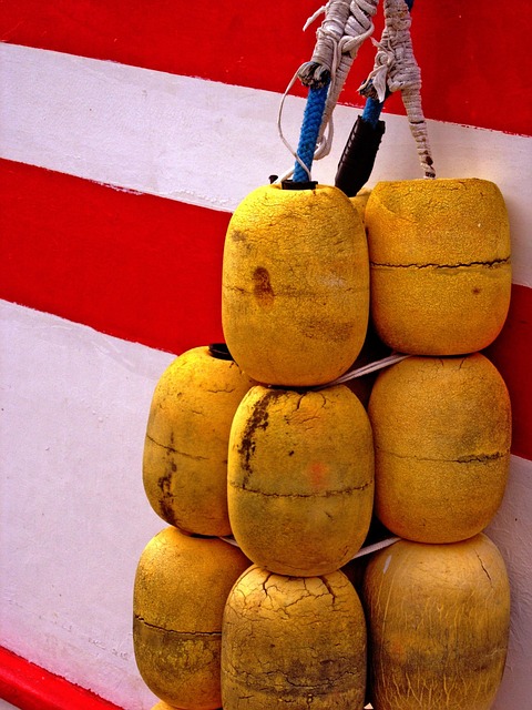 700+ Free Buoys & Nature Images - Pixabay