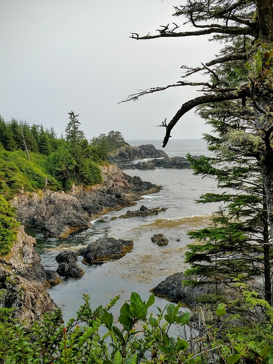 Vancouver Island Beach Nature - Free photo on Pixabay - Pixabay