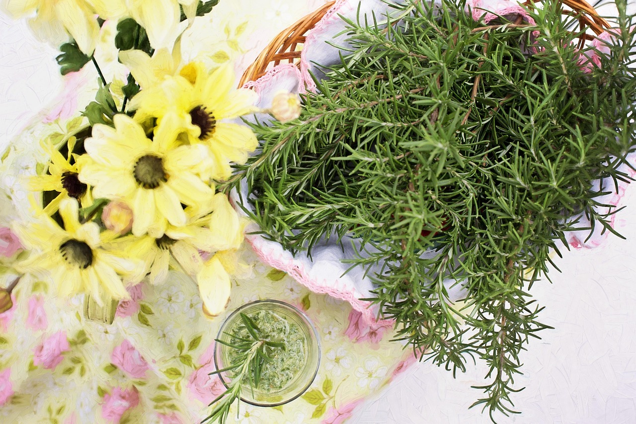 600+ Free Rosemary & Herbs Photos - Pixabay
