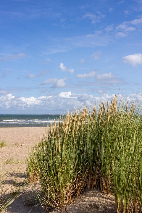 Meer Strand Dünen - Kostenloses Foto auf Pixabay