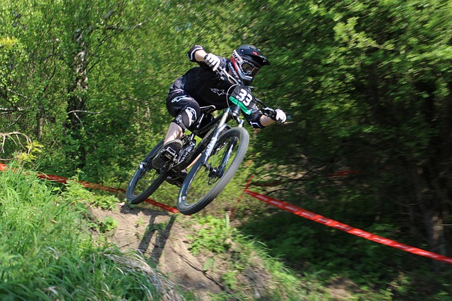 Free photo: Professional Road Racing Cyclist - Free Image on Pixabay ...