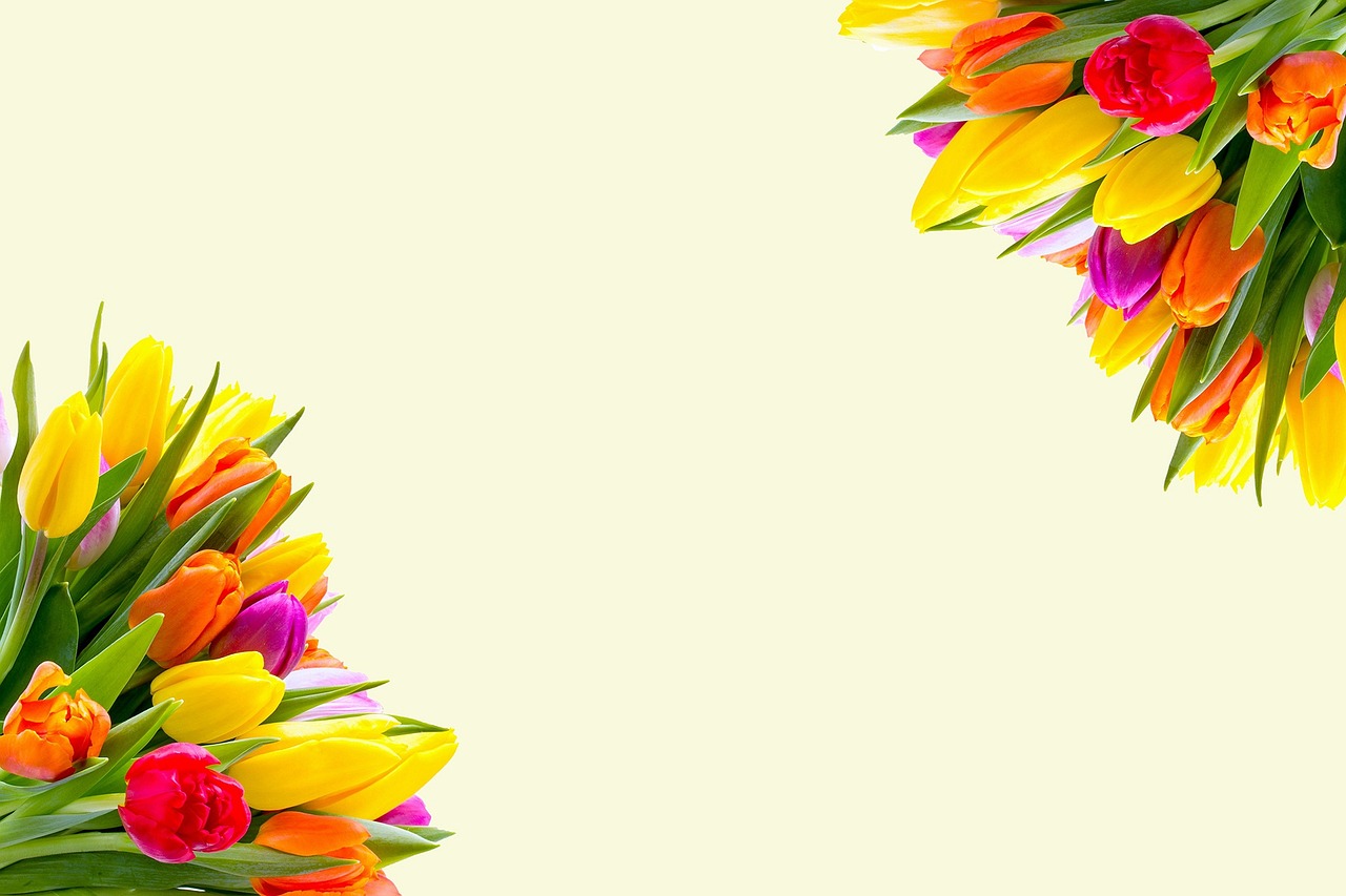 10,000+ Free Tulip Borders & Tulips Images - Pixabay