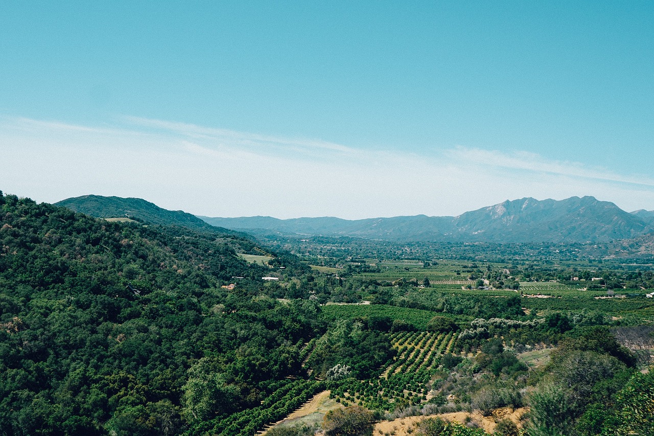 Ojai California Vineyards - Free photo on Pixabay