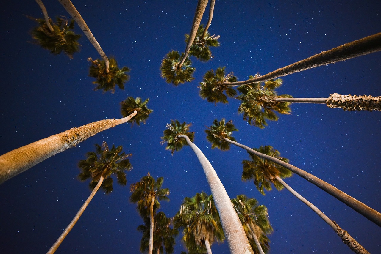 200,000+ Free Blue Star & Nature Images - Pixabay