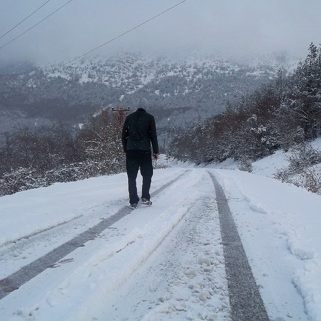 Snow Winter Freezing Cold - Free photo on Pixabay