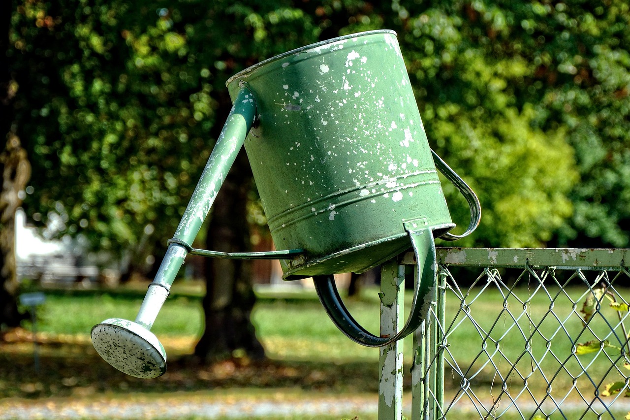 Watering Can Garden To Water - Free photo on Pixabay - Pixabay