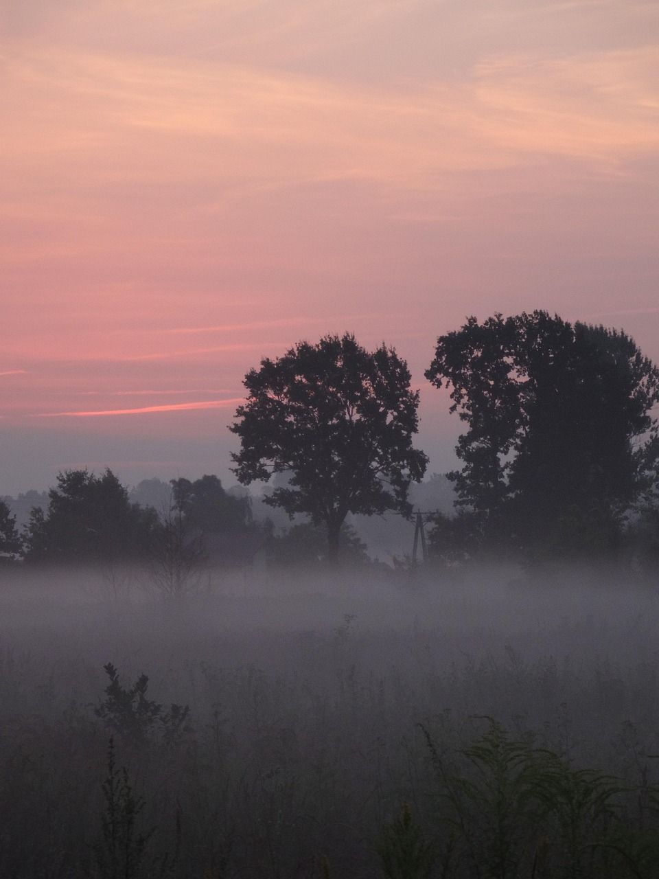 Krakau Polen Landschaft - Kostenloses Foto auf Pixabay - Pixabay