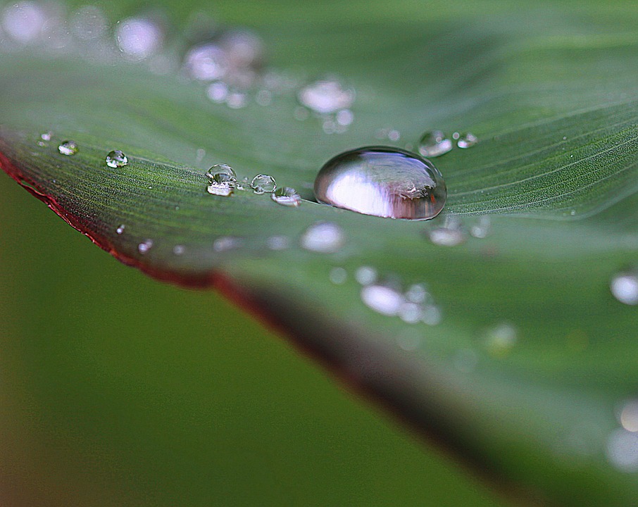 Drops Of Water Rain - Free photo on Pixabay