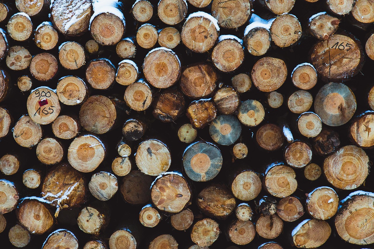 Wood Logs Timber - Free photo on Pixabay - Pixabay
