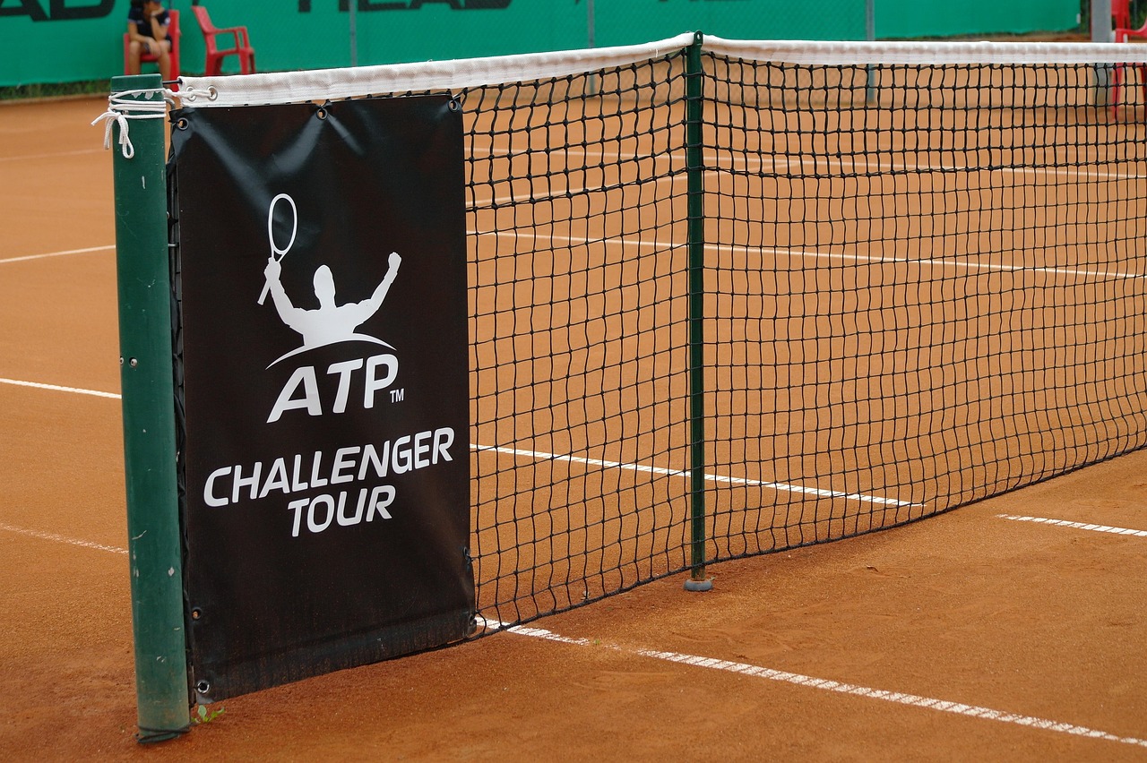 6+ Free Atp & Tennis Photos - Pixabay
