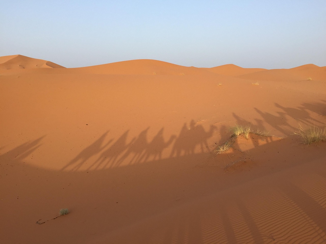 Sahara Desert - Free photo on Pixabay