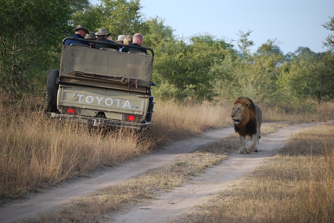 9,000+ Free Safari & Africa Photos - Pixabay