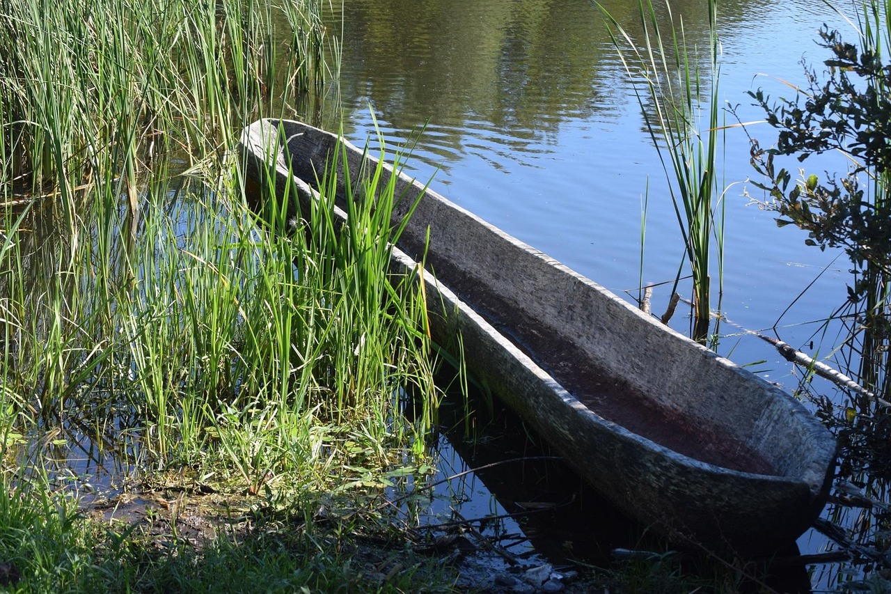 Boat The Needle Viking Museum - Free photo on Pixabay - Pixabay