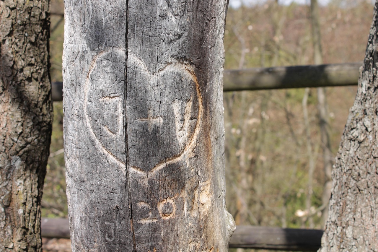 Love Tree Nature - Free photo on Pixabay - Pixabay