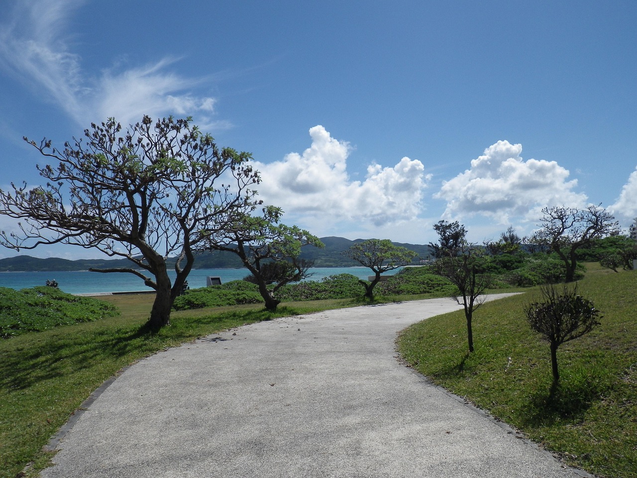 200+ Free Okinawa & Japan Images - Pixabay