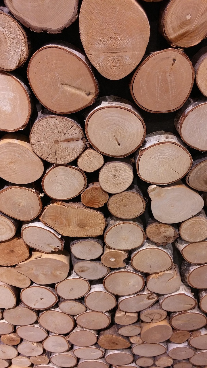 Wood Pile Of Supply Tree - Free photo on Pixabay - Pixabay