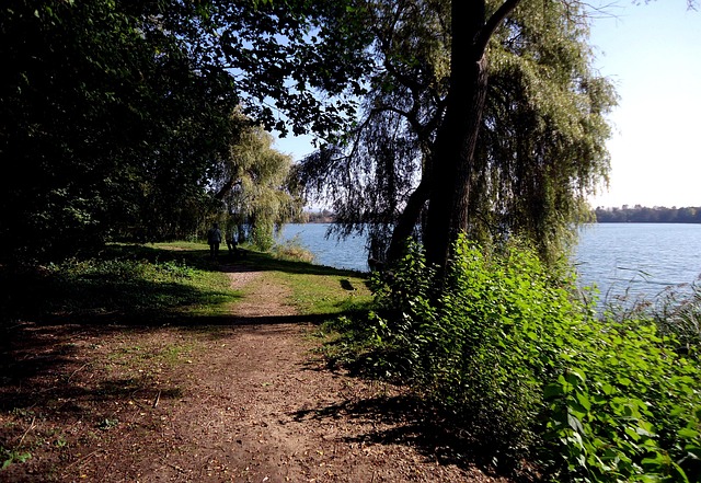 4,000+ Free Lakeside Stroll & Lakeside Images - Pixabay
