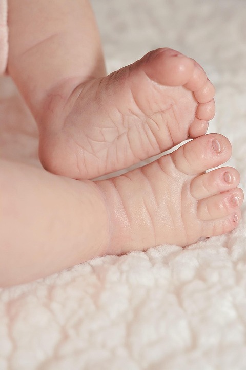 Feet Baby Infant - Free photo on Pixabay - Pixabay