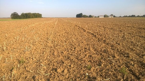 20+ Free Chaff & Husk Photos - Pixabay