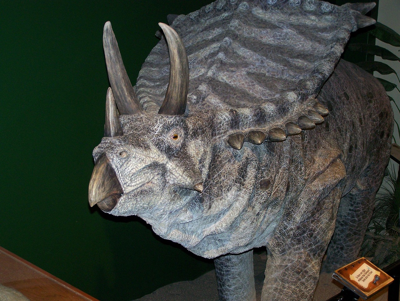 Dinosaur Triceratops Reptile - Free photo on Pixabay - Pixabay