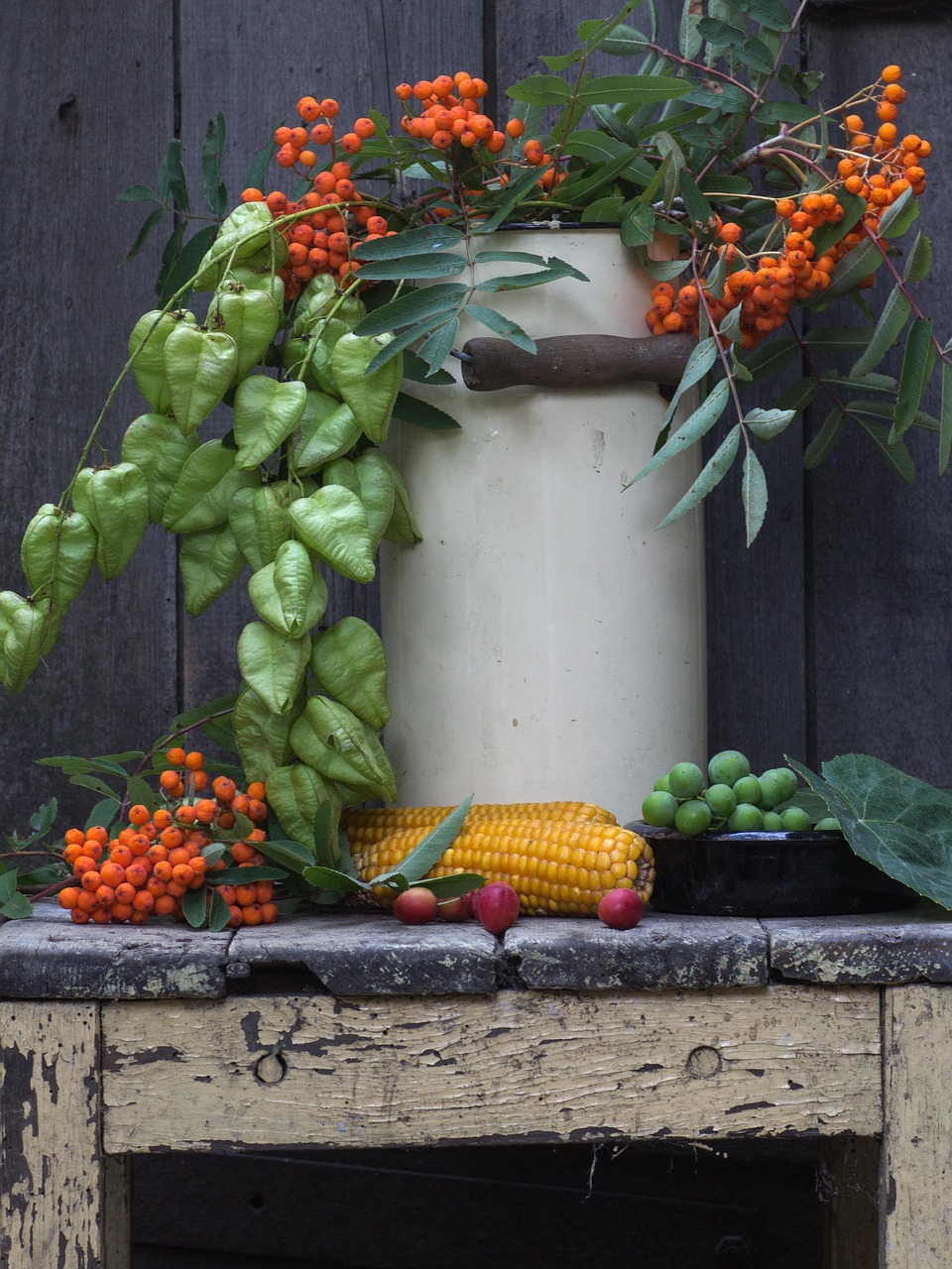 Still Life Can Rowan - Free photo on Pixabay - Pixabay