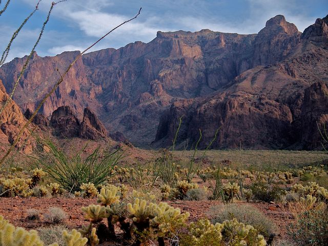 1,000+ Free Southwest & Arizona Images - Pixabay