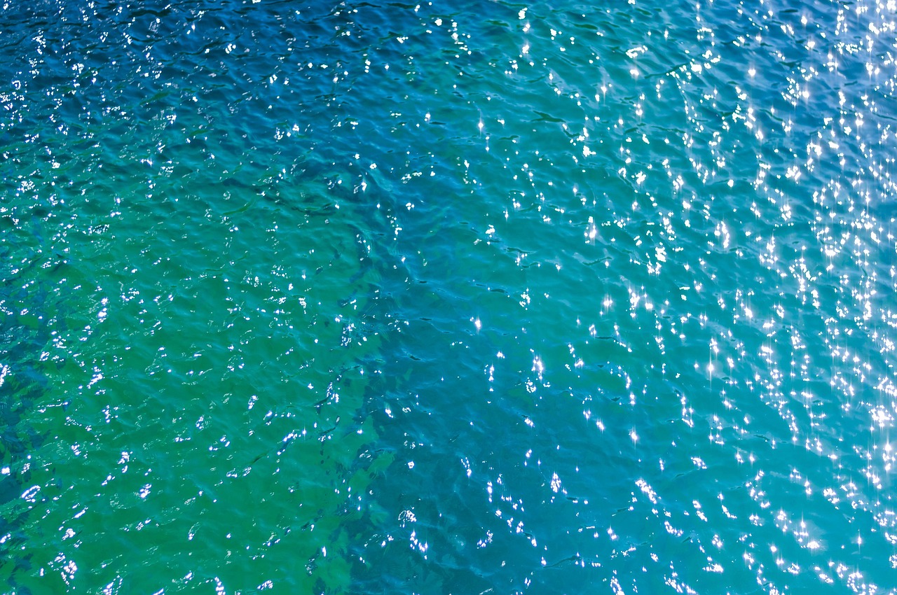 Rayo Pez Agua - Foto gratis en Pixabay - Pixabay