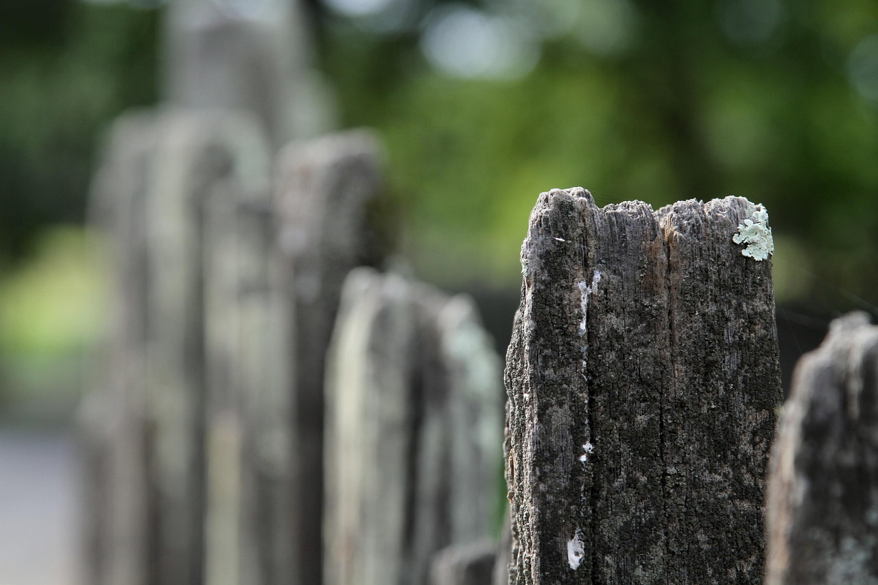 Weathered Fence Old Wood - Free photo on Pixabay - Pixabay